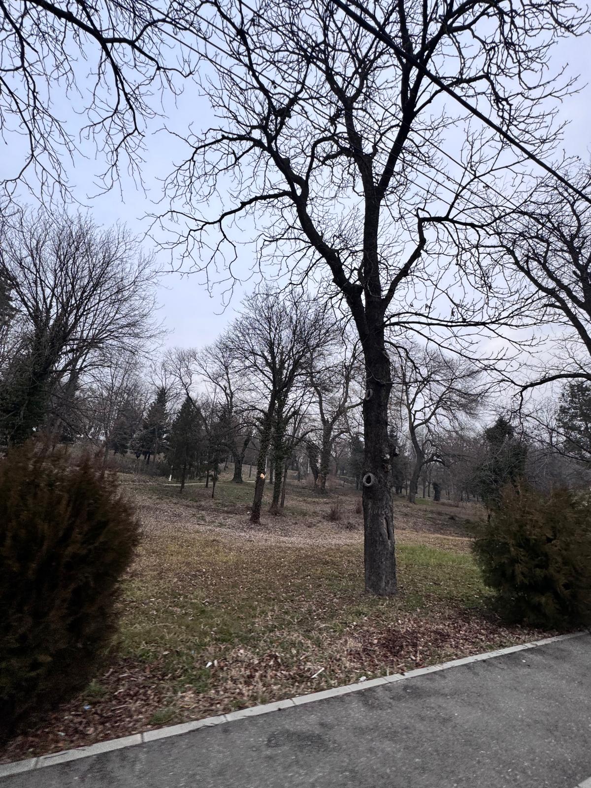 Reabilitare si modernizare Parcul Garii în Municipiul Drobeta Turnu ...